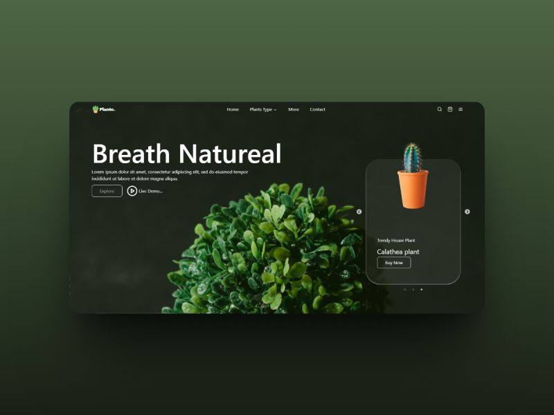 #reactjs #tailwindcss #uiux #webdesign #plantlovers # ... #reactjs #tailwindcss #uiux #webdesign #plantlovers # ...