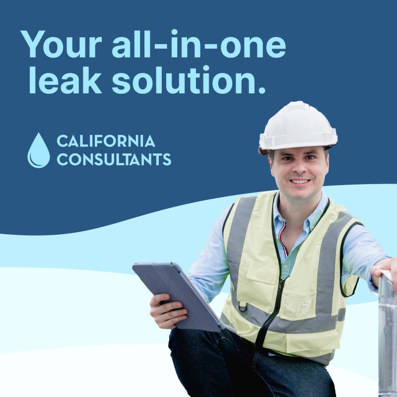 California Consultants on LinkedIn: Meet California Consultants — your ... California Consultants on LinkedIn: Meet California Consultants — your ...