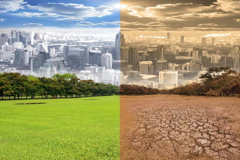 Deforestation and climate change: A Guide | Sowmiya Panneer Selvam ... Deforestation and climate change: A Guide | Sowmiya Panneer Selvam ...