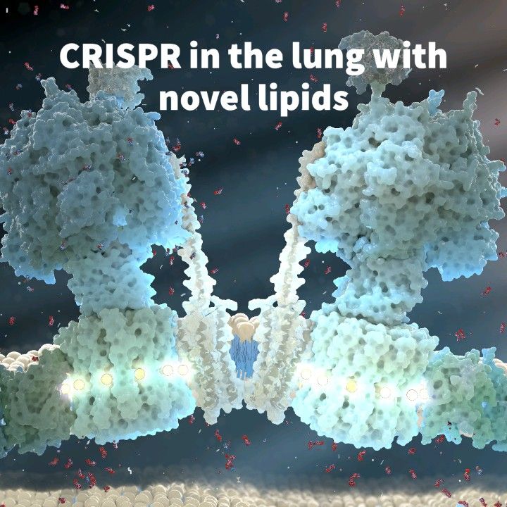 CRISPR BIOTECH ENGINEERING on LinkedIn: CRISPR RNA is delivered to the ... CRISPR BIOTECH ENGINEERING on LinkedIn: CRISPR RNA is delivered to the ...