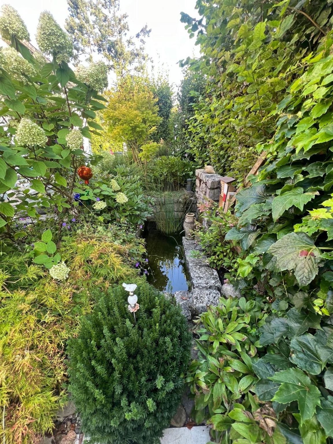 Albert Leiser auf LinkedIn: #biodiversitätsinitiative Albert Leiser auf LinkedIn: #biodiversitätsinitiative