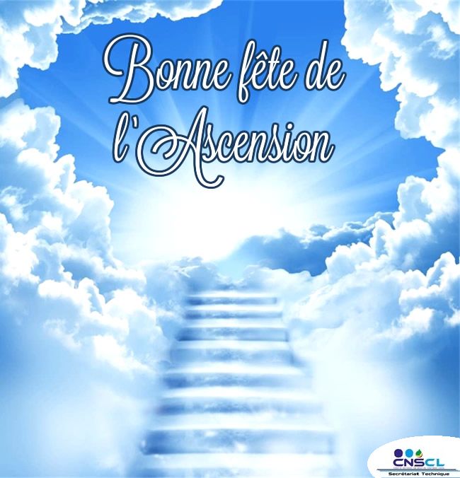 Secrétariat Technique du Comité National de Suivi du Contenu Local (ST ... Secrétariat Technique du Comité National de Suivi du Contenu Local (ST ...
