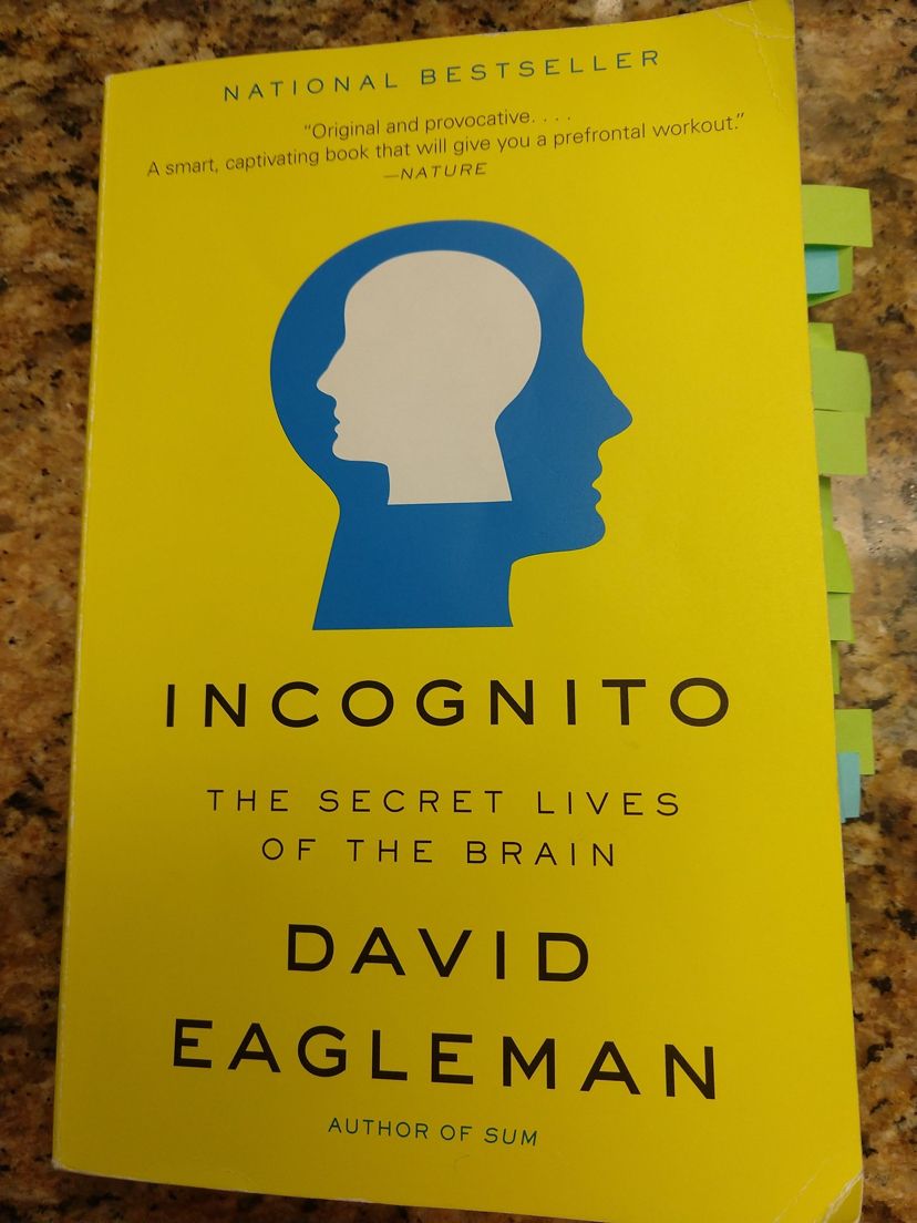 Kannaiah Keerthanaa on LinkedIn: #psychology #neuroscience #reading Kannaiah Keerthanaa on LinkedIn: #psychology #neuroscience #reading