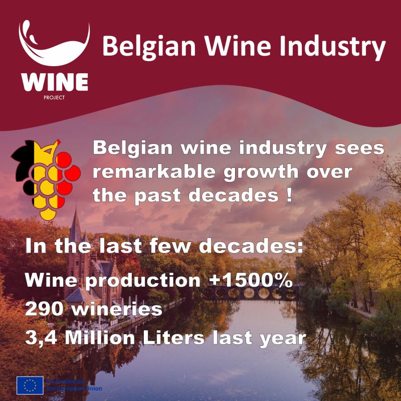 CBE - GEIE Coopération Bancaire pour l’Europe on LinkedIn: #wine # ... CBE - GEIE Coopération Bancaire pour l’Europe on LinkedIn: #wine # ...