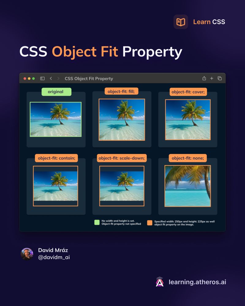 David Mráz on LinkedIn: #css #htmlcss #html5 #coding #webdev # ... David Mráz on LinkedIn: #css #htmlcss #html5 #coding #webdev # ...