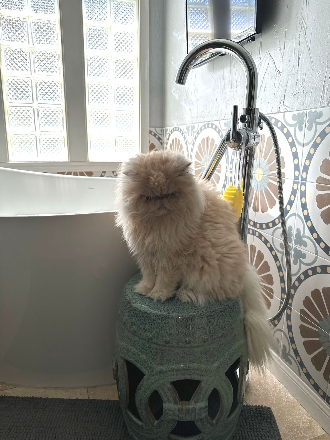 Leia Ziomek on LinkedIn: CONGRATULATIONS to the winner of our Pet of ... Leia Ziomek on LinkedIn: CONGRATULATIONS to the winner of our Pet of ...