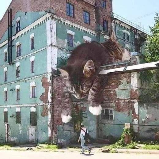 Dmitry Kucheryuk on LinkedIn: Amazing Street Art Dmitry Kucheryuk on LinkedIn: Amazing Street Art