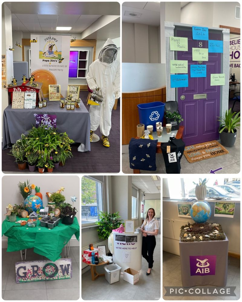 #worldearthday #aib #sustainability #sustainabilityinaib #gogreen ... #worldearthday #aib #sustainability #sustainabilityinaib #gogreen ...