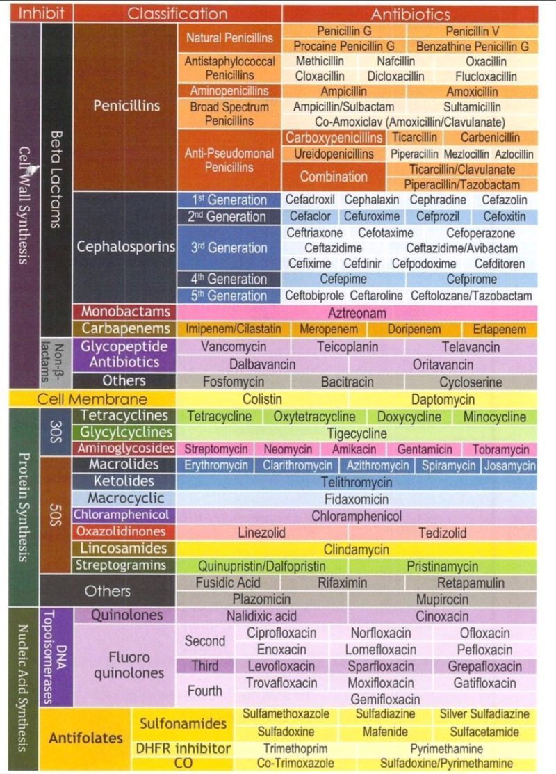 Blessed Mariam on LinkedIn: Complete Antibiotics Chart Blessed Mariam on LinkedIn: Complete Antibiotics Chart