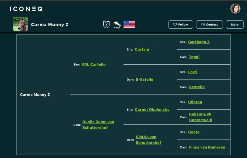 ICONEQ on LinkedIn: New Feature Alert on ICONEQ: Pedigrees are now ... ICONEQ on LinkedIn: New Feature Alert on ICONEQ: Pedigrees are now ...