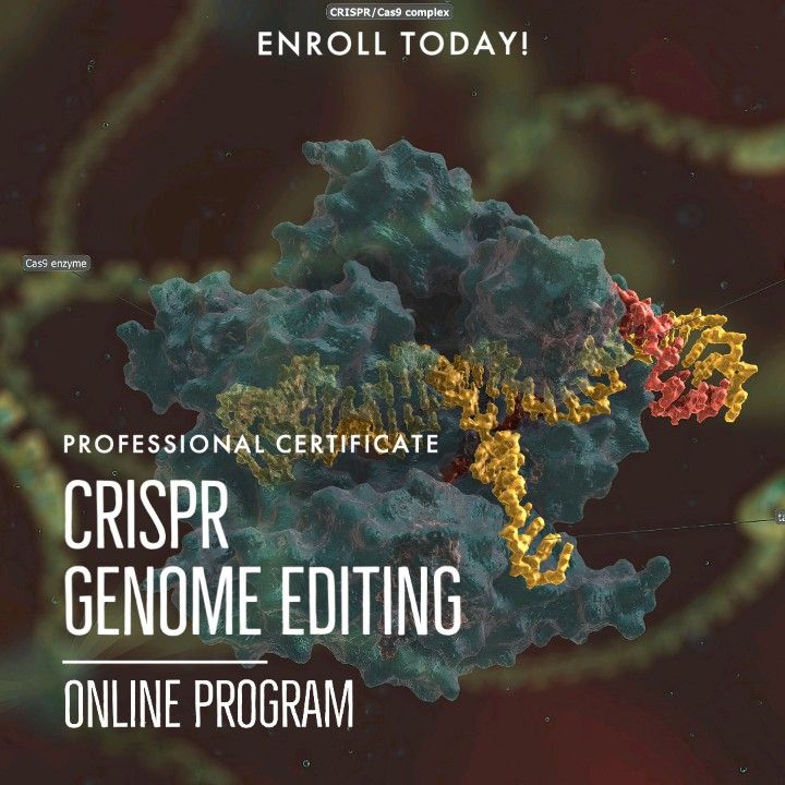 CRISPR BIOTECH ENGINEERING on LinkedIn: #genomics #drugdiscovery CRISPR BIOTECH ENGINEERING on LinkedIn: #genomics #drugdiscovery