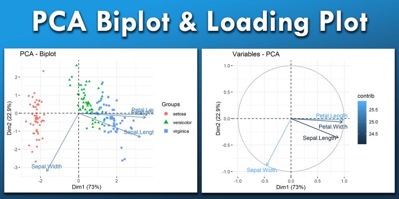 #database #statisticalanalysis #datavisualization #bigdata #analytics ... #database #statisticalanalysis #datavisualization #bigdata #analytics ...