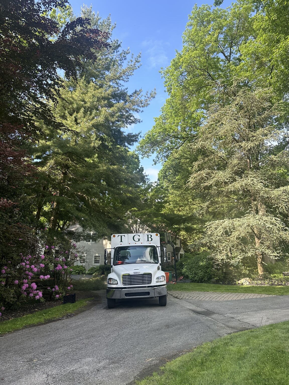 Josh Baldoni on LinkedIn: Happy Monday! Tree service in Gladwyne, PA on ... Josh Baldoni on LinkedIn: Happy Monday! Tree service in Gladwyne, PA on ...