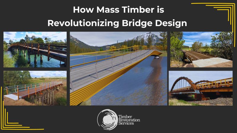 Timber Restoration Services on LinkedIn: Mass timber is revolutionizing ... Timber Restoration Services on LinkedIn: Mass timber is revolutionizing ...