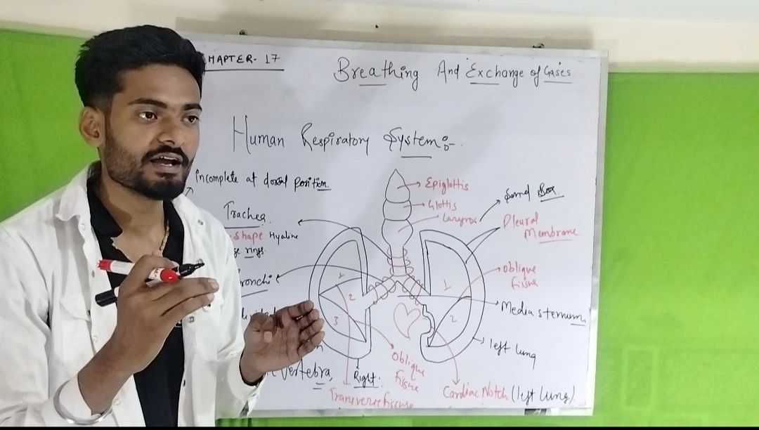 Rishi Raj Yadav: biology mentor for NEET exam | Rishi Raj Yadav posted ... Rishi Raj Yadav: biology mentor for NEET exam | Rishi Raj Yadav posted ...