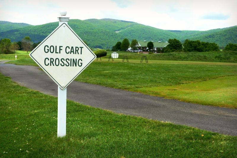 Peter J. Matulis, CPCU on LinkedIn: #insurance #golfcart #spring #headstart Peter J. Matulis, CPCU on LinkedIn: #insurance #golfcart #spring #headstart