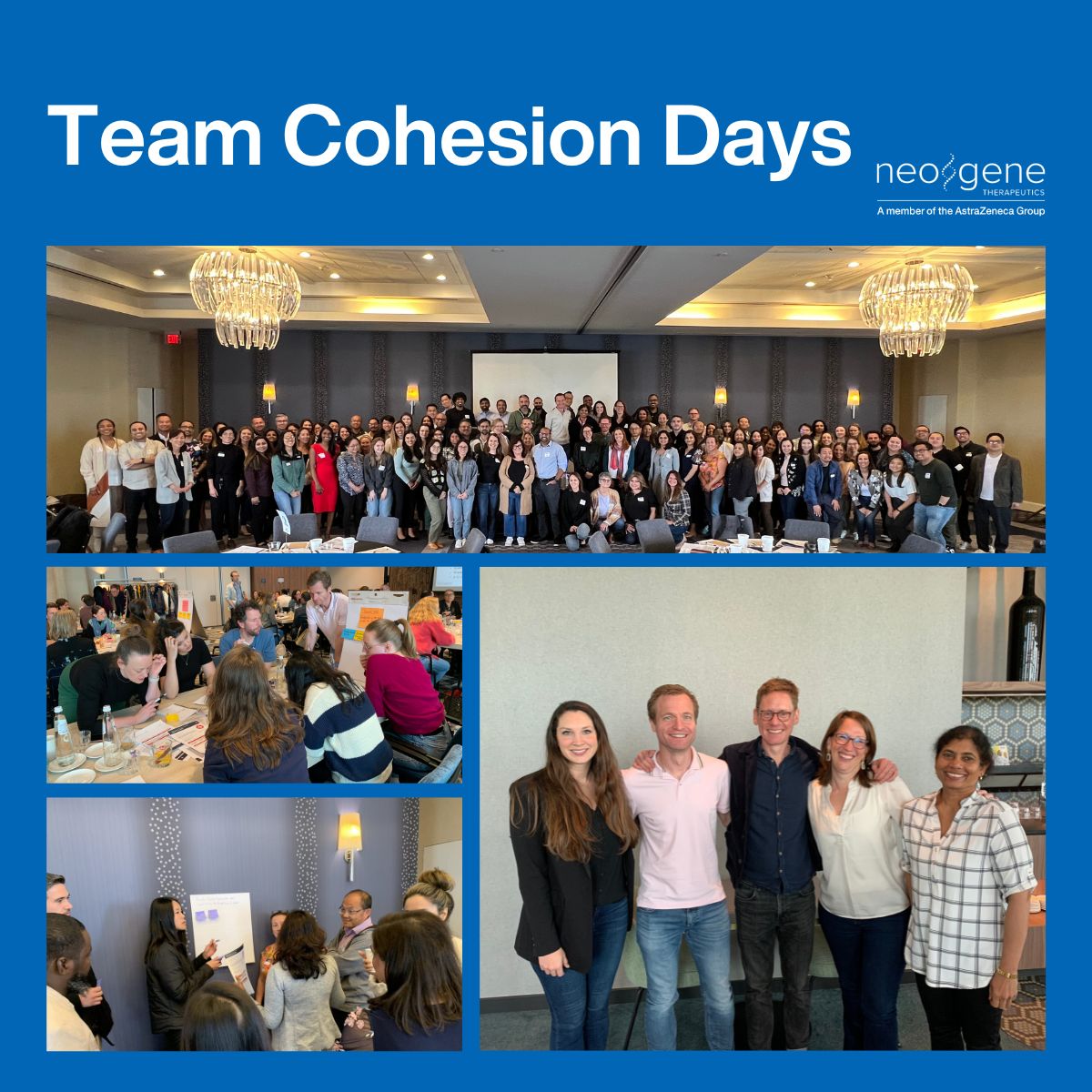 Neogene Therapeutics on LinkedIn: #neogene #cohesion #teamculture Neogene Therapeutics on LinkedIn: #neogene #cohesion #teamculture