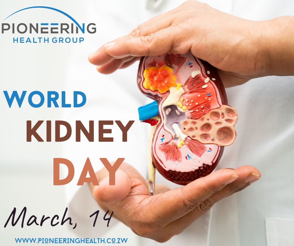 Pioneering Health on World Kidney Day | Pioneering Health Group ... Pioneering Health on World Kidney Day | Pioneering Health Group ...