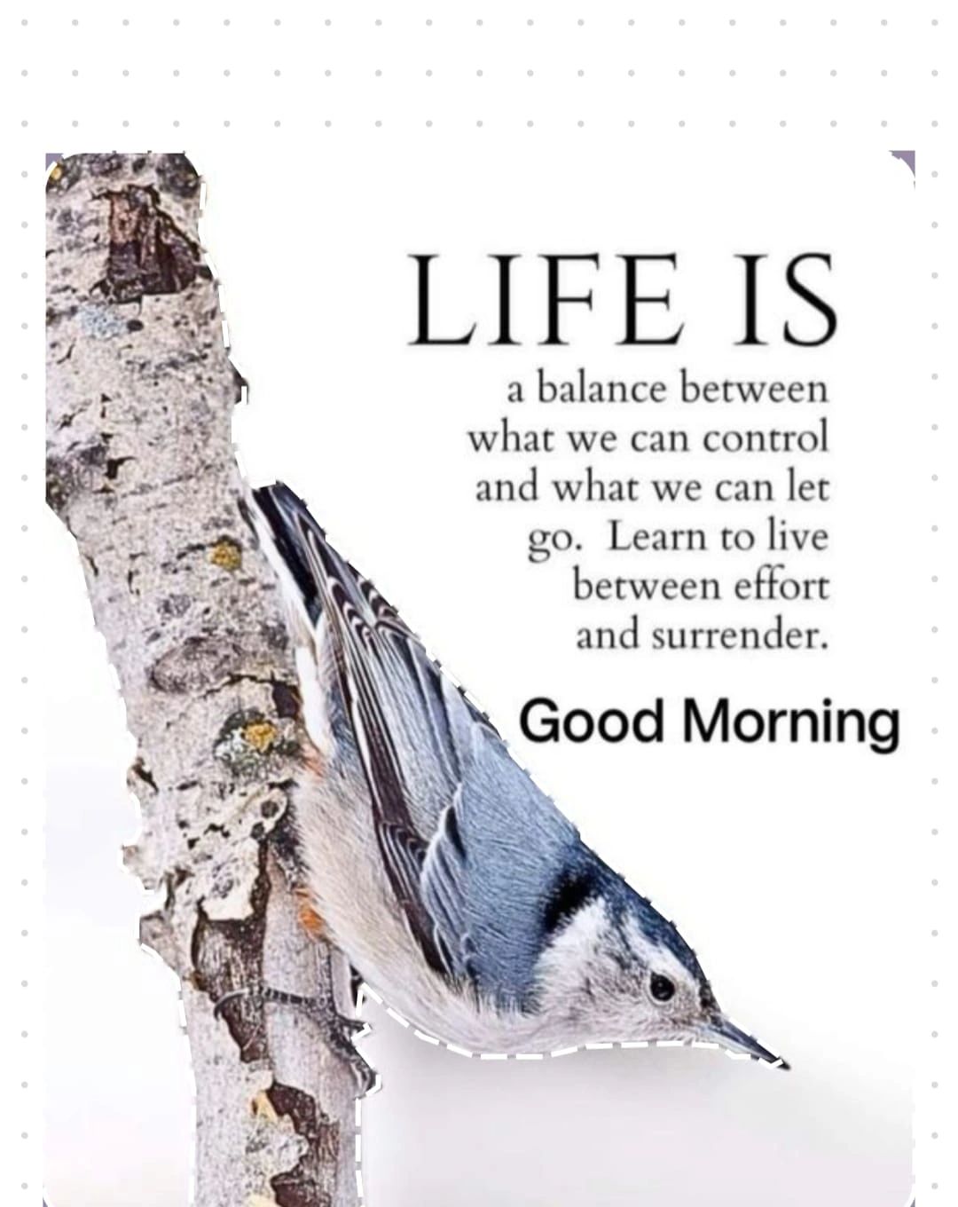 Manoj Kumar Attoor on LinkedIn: #goodmorning #cfbr #radheradhe Manoj Kumar Attoor on LinkedIn: #goodmorning #cfbr #radheradhe