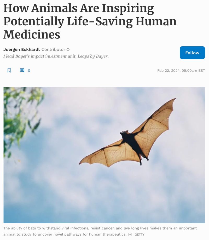 Dr Frédéric Caufrier (PhD) on LinkedIn: #bats Dr Frédéric Caufrier (PhD) on LinkedIn: #bats