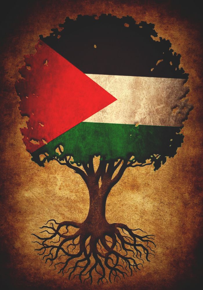 khadija sameh on LinkedIn: Free Palestine khadija sameh on LinkedIn: Free Palestine