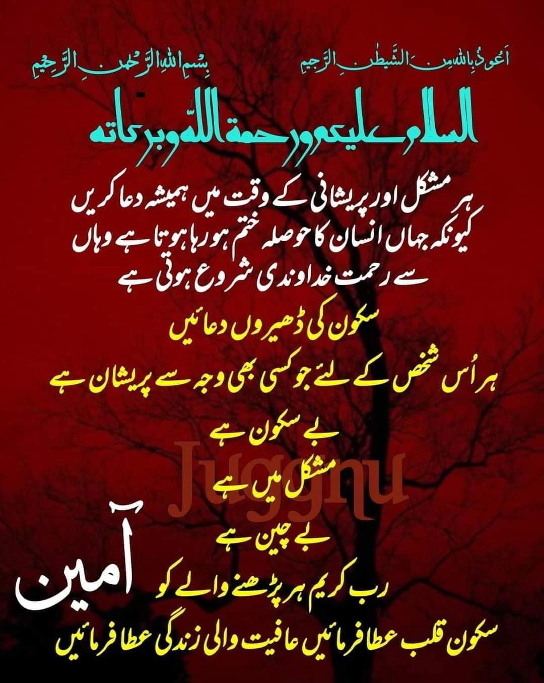 Manzoor Ali Qureshi on LinkedIn: Ameen sum Ameen bijahay Syed ul ... Manzoor Ali Qureshi on LinkedIn: Ameen sum Ameen bijahay Syed ul ...