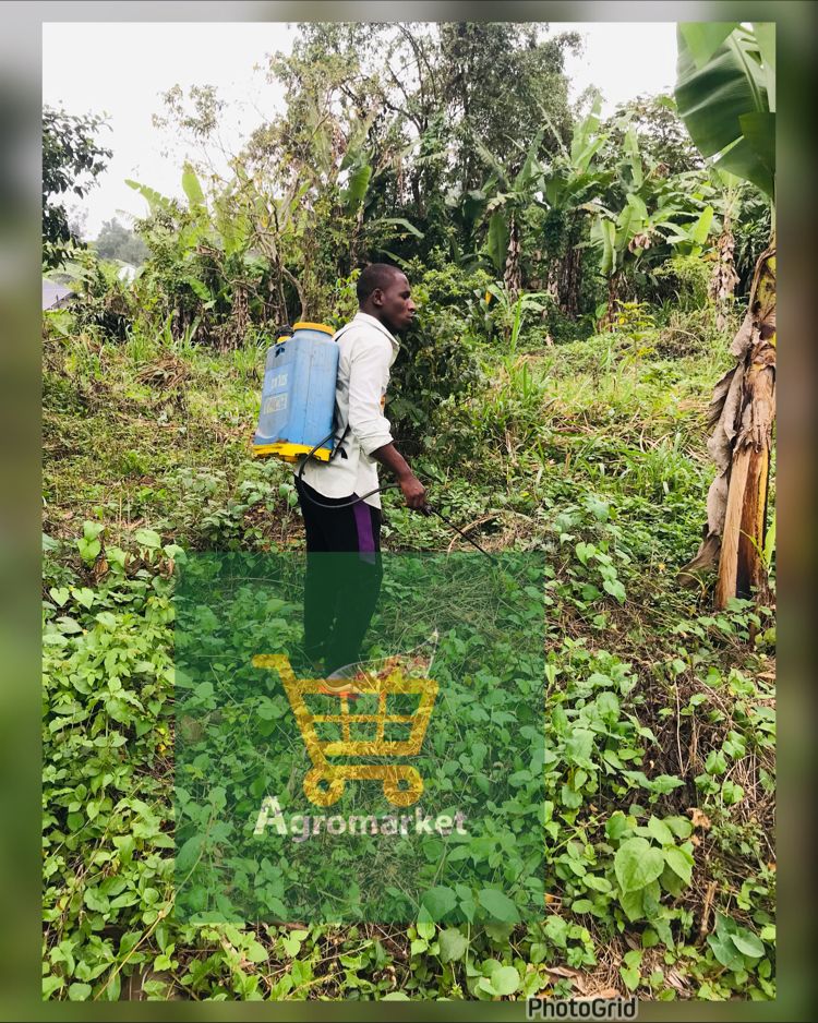 Longonje Caleb on LinkedIn: Agrosmarket is an agro tech company powered ... Longonje Caleb on LinkedIn: Agrosmarket is an agro tech company powered ...