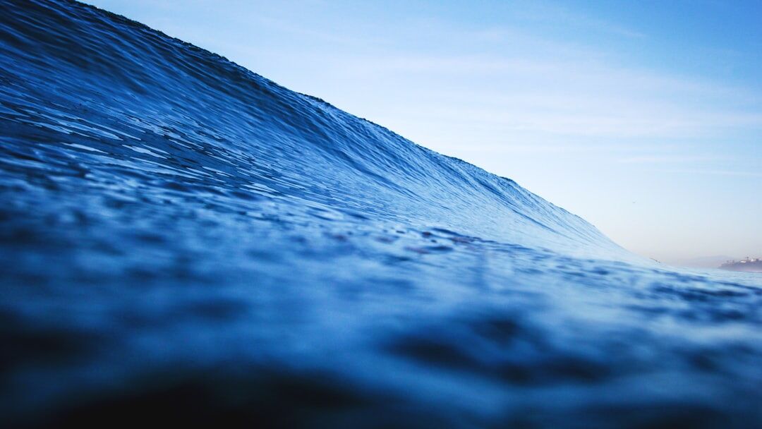 Maximizing Exposure: TikTok Trends & Riding the Wave | Thaddeus McCollum Maximizing Exposure: TikTok Trends & Riding the Wave | Thaddeus McCollum