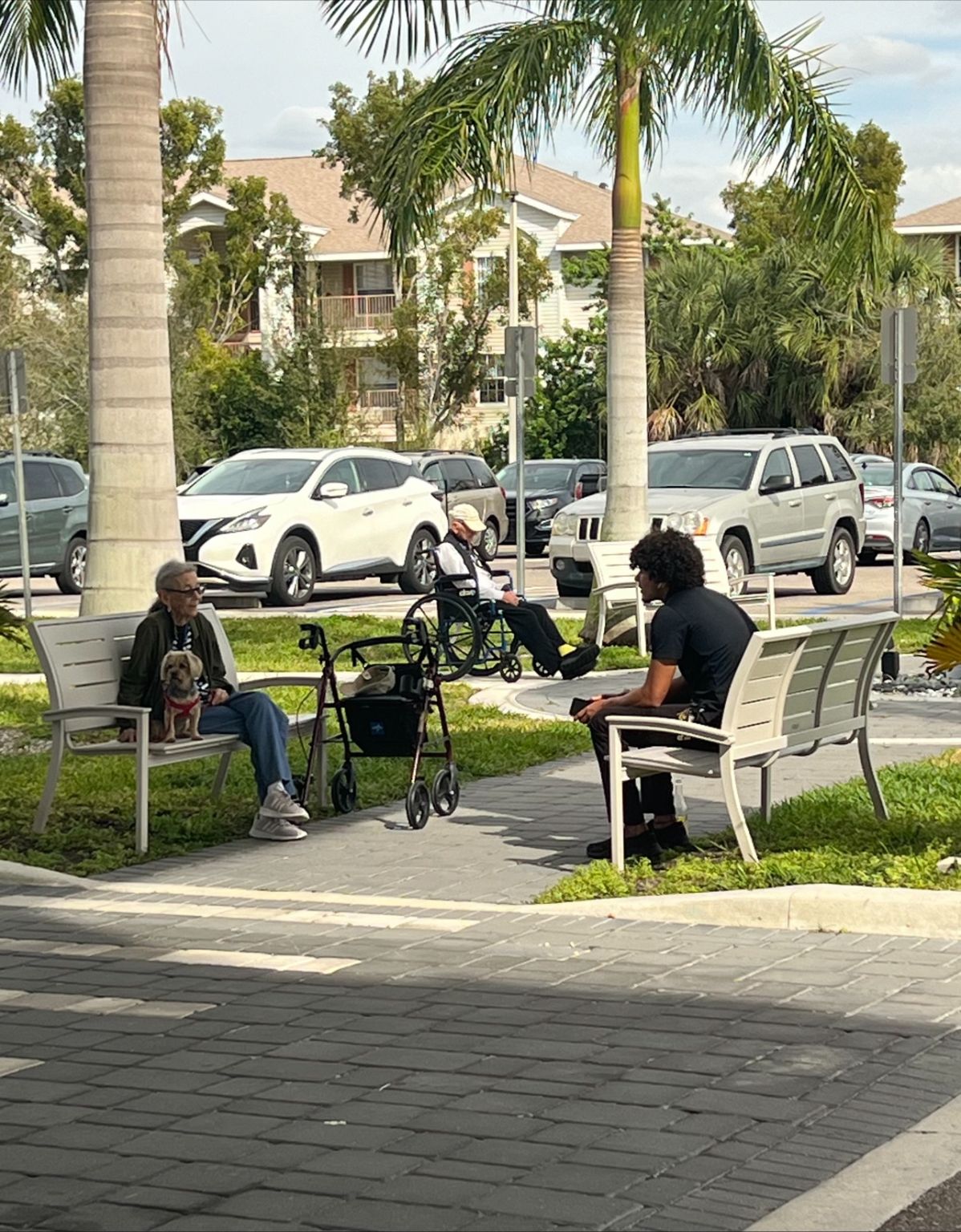 Michelle Grunsted, LNHA, LPN on LinkedIn: #highpointatcapecoral # ... Michelle Grunsted, LNHA, LPN on LinkedIn: #highpointatcapecoral # ...