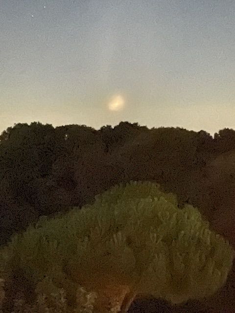 Eriks Kupce on LinkedIn: UFO ? (literally) Any ideas what this might be ... Eriks Kupce on LinkedIn: UFO ? (literally) Any ideas what this might be ...