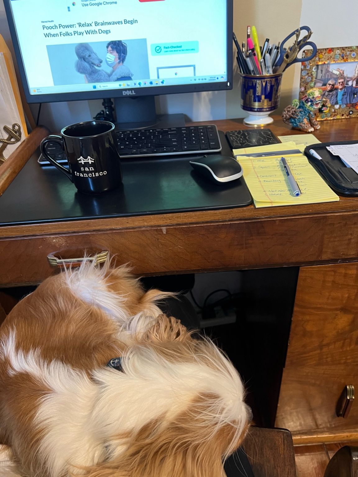 Sandra K. Howe on LinkedIn: Scientific fact! Quality time with your dog ... Sandra K. Howe on LinkedIn: Scientific fact! Quality time with your dog ...
