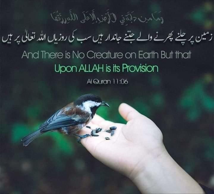 Muhammad Waseem Akhtar posted on LinkedIn Muhammad Waseem Akhtar posted on LinkedIn