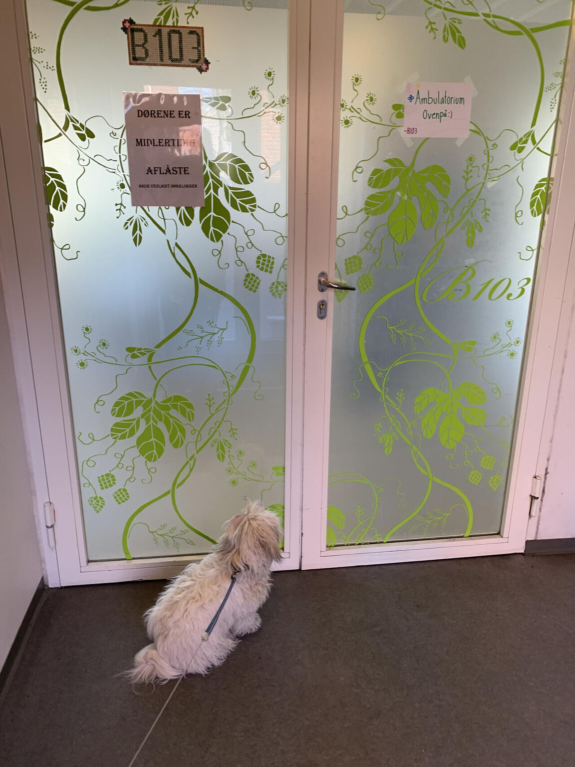 Pernille Opstrup posted on LinkedIn Pernille Opstrup posted on LinkedIn