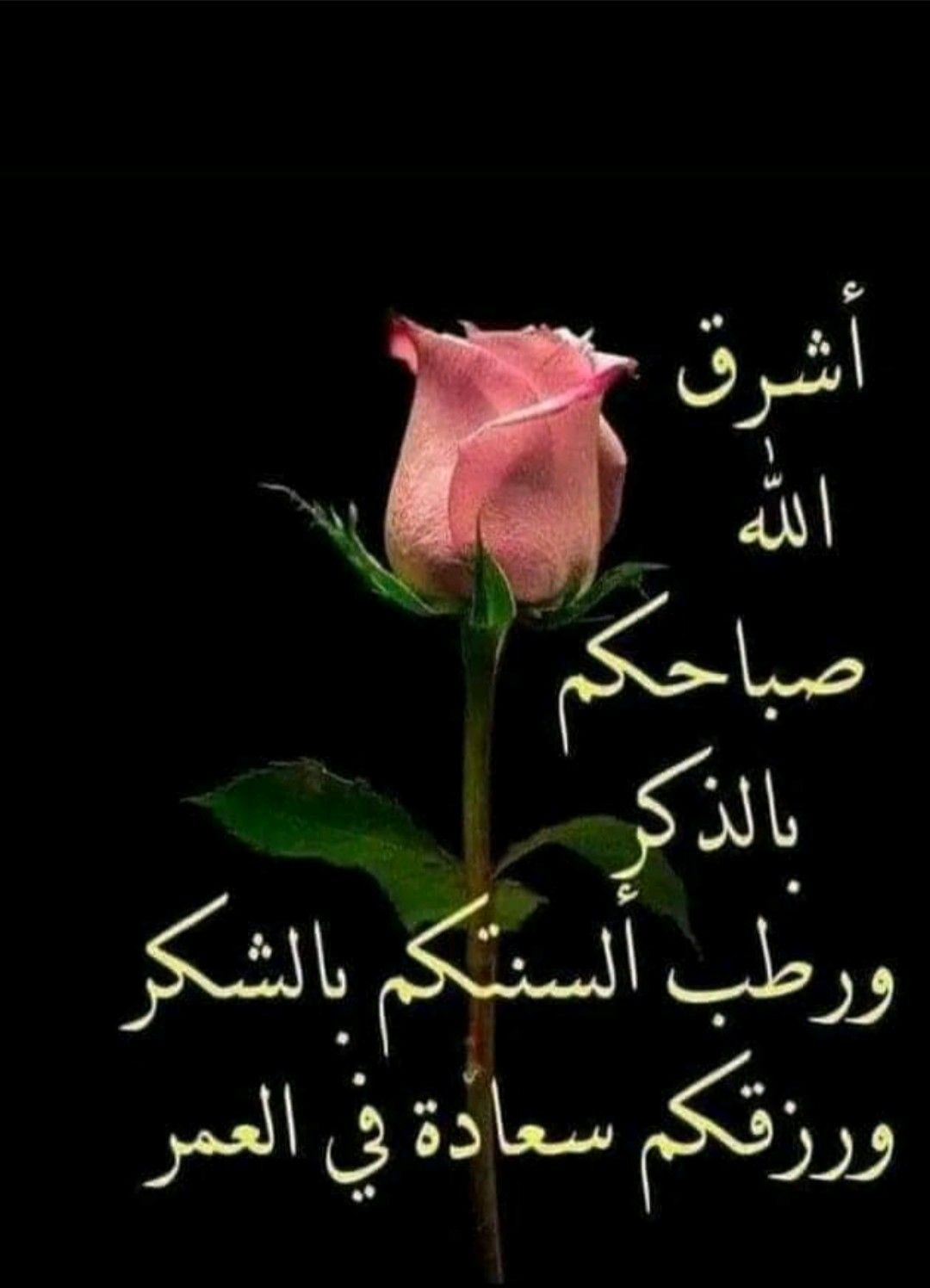 sabrina osmani on LinkedIn: good morning 🌹 sabrina osmani on LinkedIn: good morning 🌹