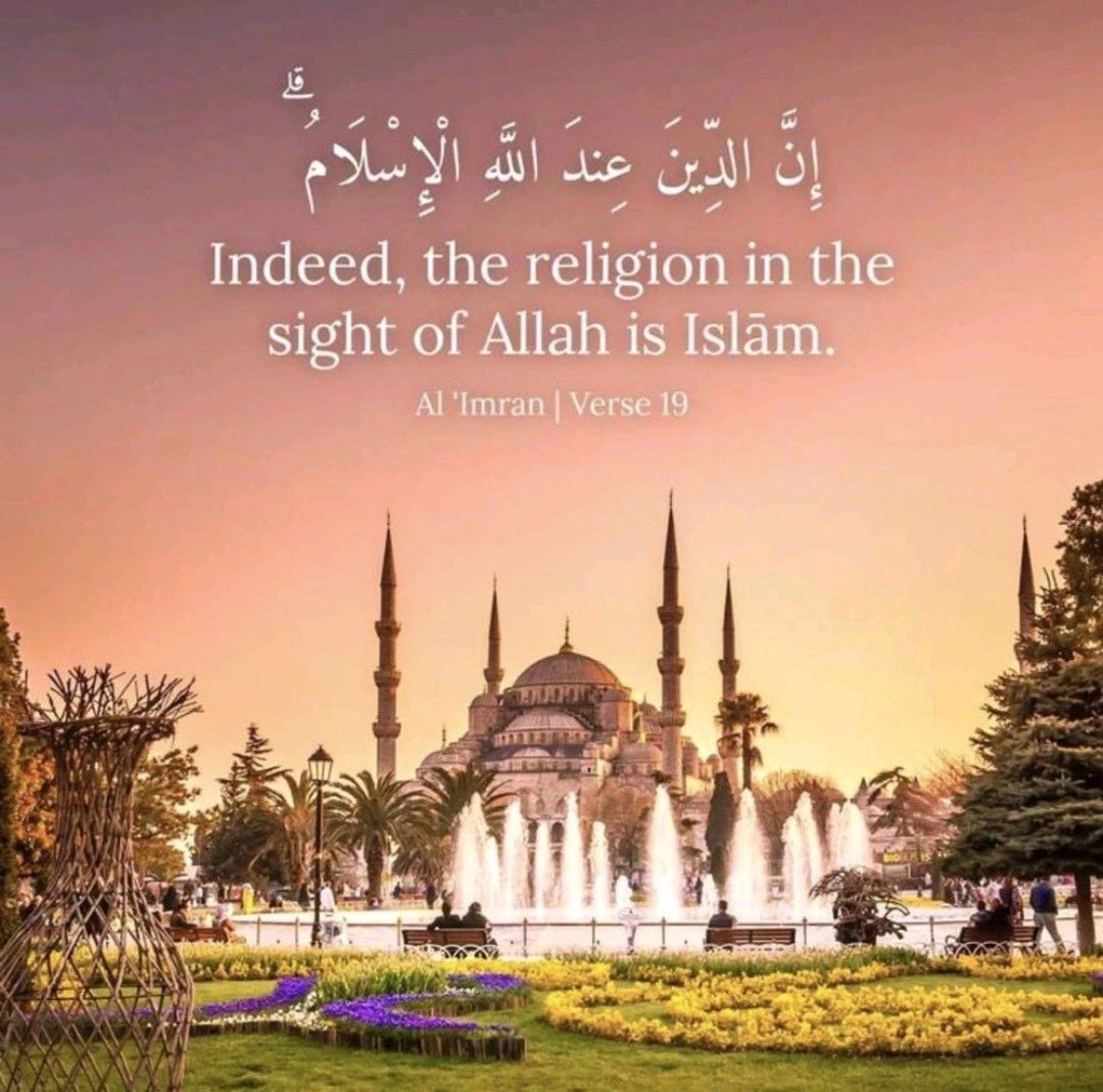 MD Sandro Ashiqul Islam posted on LinkedIn MD Sandro Ashiqul Islam posted on LinkedIn