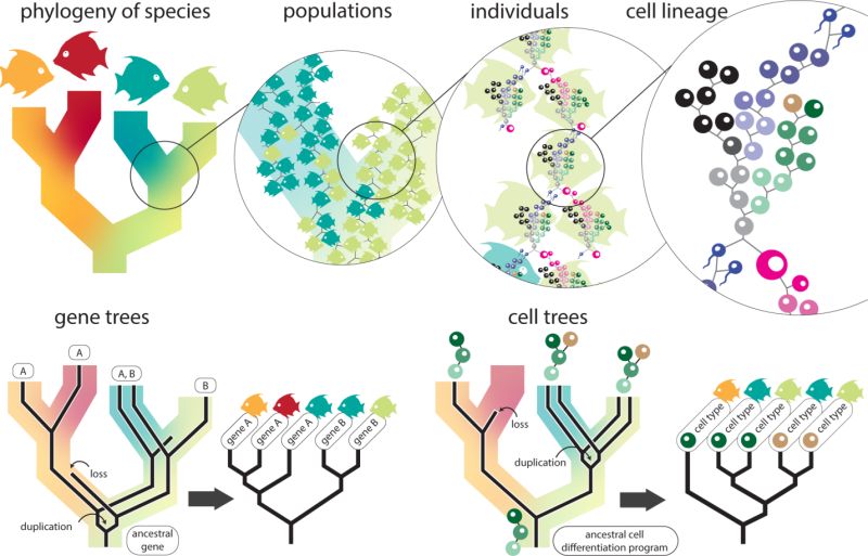 Association for Single Cell Analysis (ASCA) on LinkedIn: ๐ Integrating ... Association for Single Cell Analysis (ASCA) on LinkedIn: ๐ Integrating ...