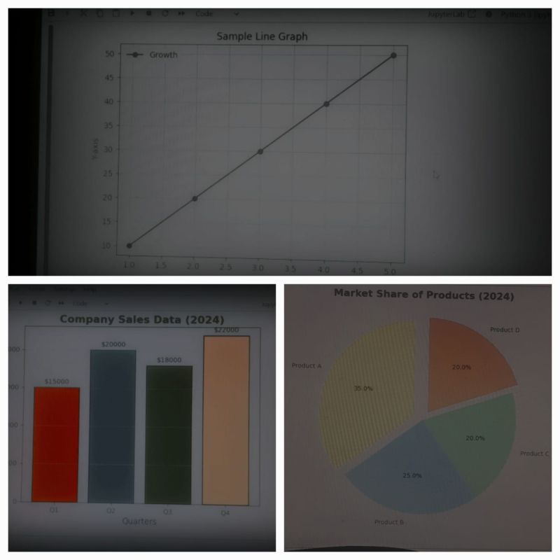 Madiha Lodhi on LinkedIn: #datavisualization #python #matplotlib # ... Madiha Lodhi on LinkedIn: #datavisualization #python #matplotlib # ...