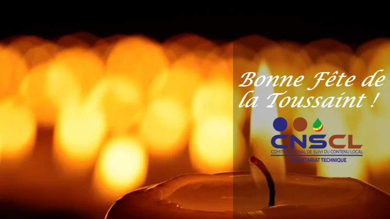 Secrétariat Technique du Comité National de Suivi du Contenu Local (ST ... Secrétariat Technique du Comité National de Suivi du Contenu Local (ST ...