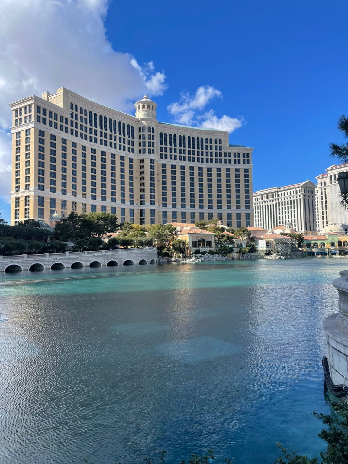 Ashleigh Gallacher on LinkedIn: #recruitment #vegas #incentive Ashleigh Gallacher on LinkedIn: #recruitment #vegas #incentive