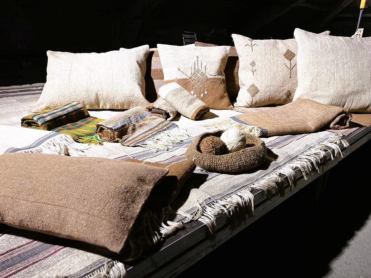 Turkmen manufacturer of camel wool products establishes the export ... Turkmen manufacturer of camel wool products establishes the export ...