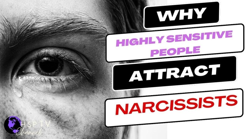HSP Coach Barbera on LinkedIn: Why Highly Sensitive People Attract ... HSP Coach Barbera on LinkedIn: Why Highly Sensitive People Attract ...