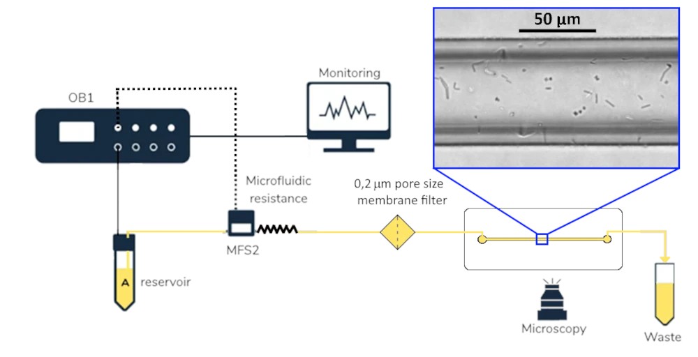 Lior Tirosh on LinkedIn: Biofilm testing under flow Lior Tirosh on LinkedIn: Biofilm testing under flow