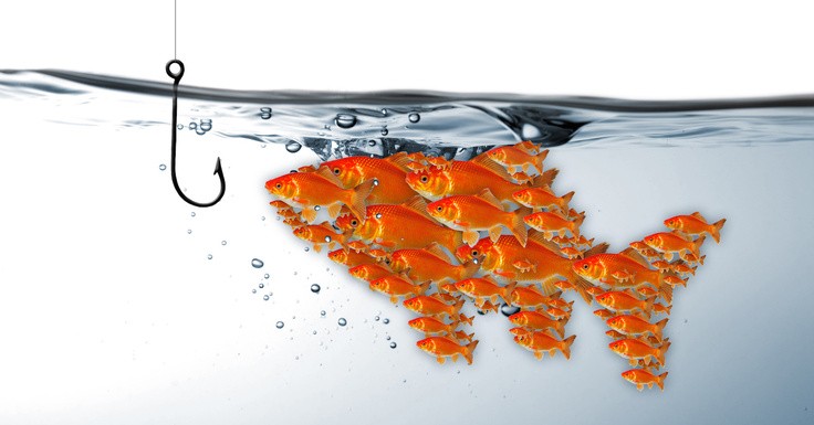 Torpey White, CPA, CITP, CISA, CGEIT posted on LinkedIn Torpey White, CPA, CITP, CISA, CGEIT posted on LinkedIn