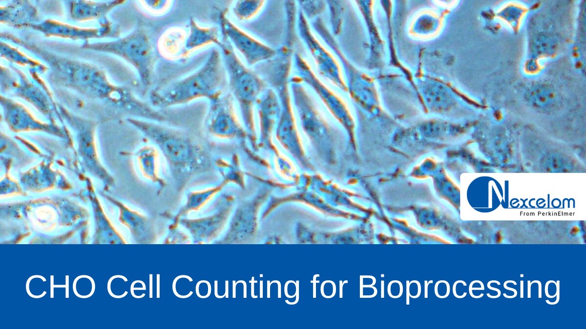 Scott Cribbes on LinkedIn: Using Cellaca MX for high-throughput CHO ... Scott Cribbes on LinkedIn: Using Cellaca MX for high-throughput CHO ...