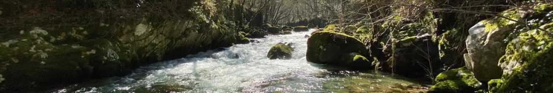 DOURO Senses | LinkedIn DOURO Senses | LinkedIn