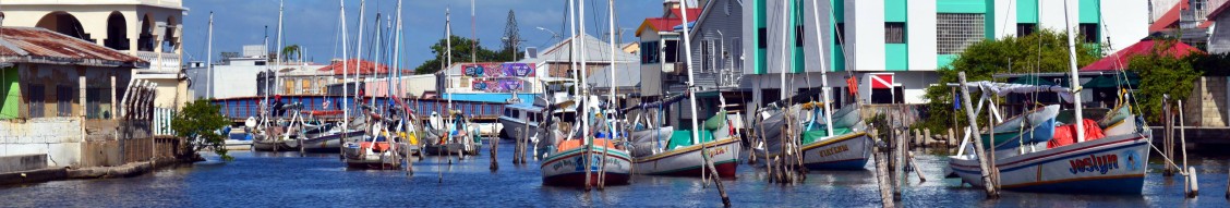 #sargassum #caribbean #climate #fisheries | Caribbean Regional ... #sargassum #caribbean #climate #fisheries | Caribbean Regional ...