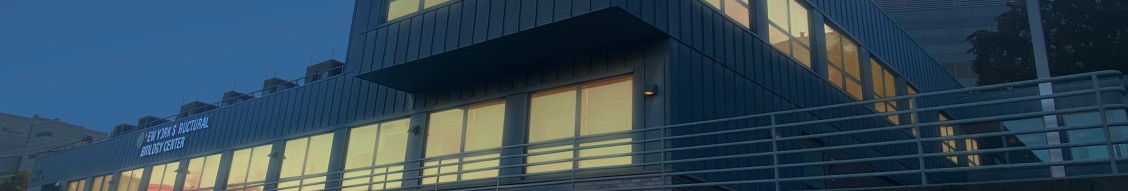 NYSBC SCI-Talk Seminar Series: Please join us for a seminar on ... NYSBC SCI-Talk Seminar Series: Please join us for a seminar on ...
