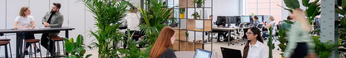 Plan A Consultants Ltd | LinkedIn Plan A Consultants Ltd | LinkedIn
