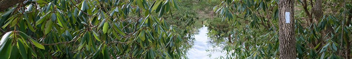 Appalachian Trail Conservancy on LinkedIn: The Appalachian Trail ... Appalachian Trail Conservancy on LinkedIn: The Appalachian Trail ...