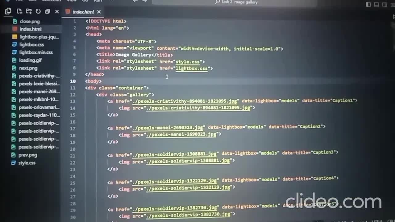 Making a Image Gallery using Html, CSS and JavaScript | Vaishali Thakur Making a Image Gallery using Html, CSS and JavaScript | Vaishali Thakur